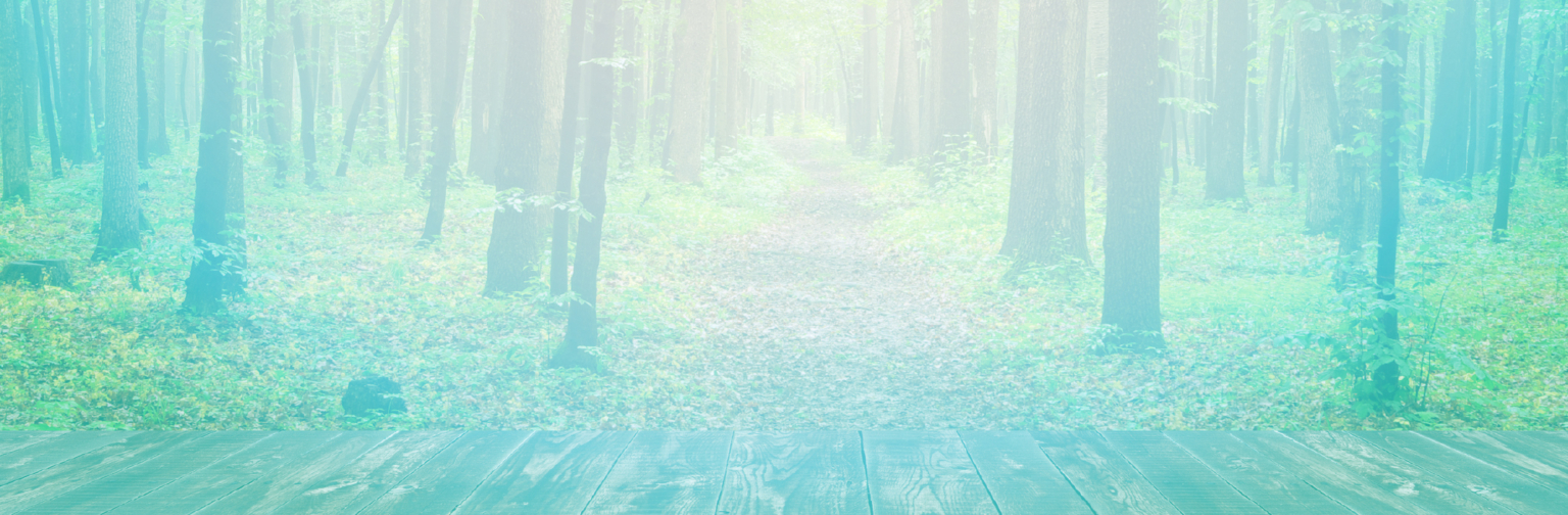 Home - Peoria Public Library